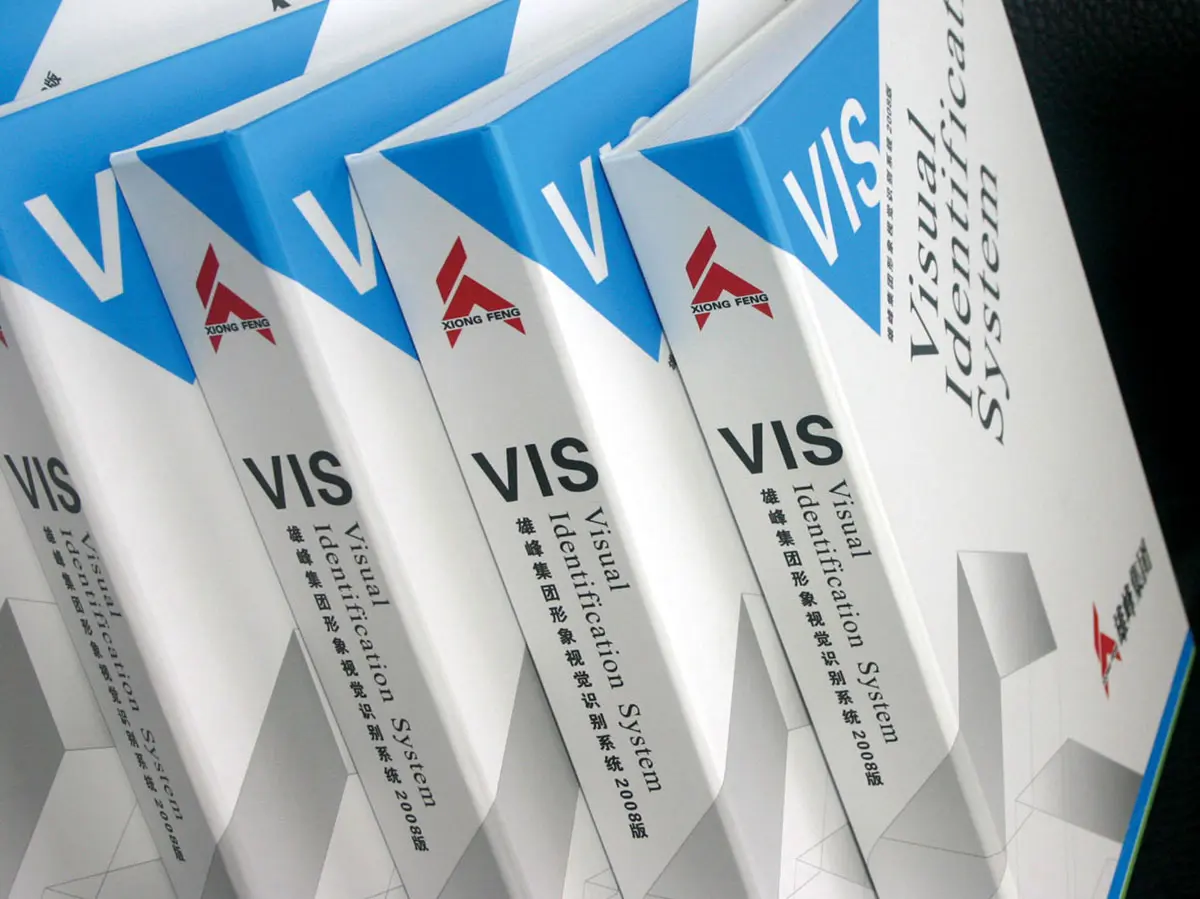 品牌vi设计-vi设计哪些原则需要遵守？-诗宸标志设计