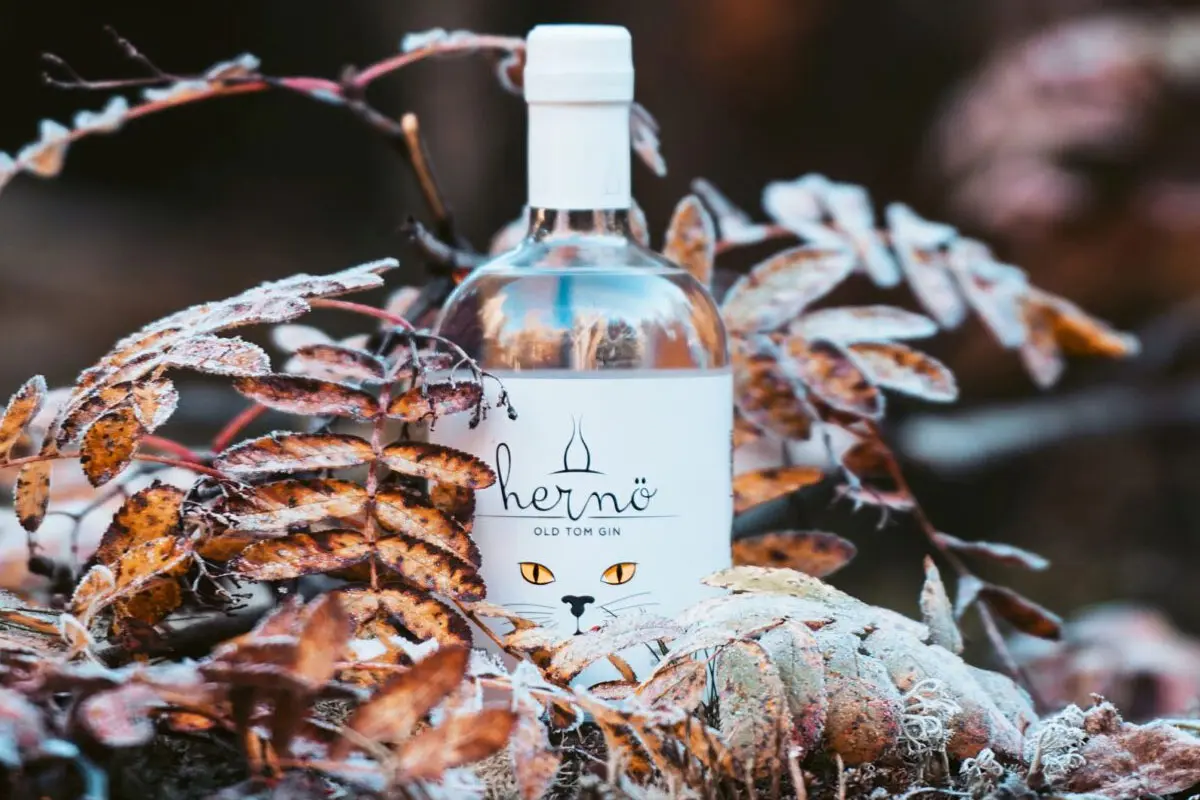 Hernö Old Tom标志设计含义及杜松子酒品牌设计理念-诗宸标志设计