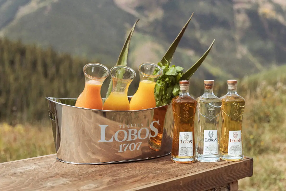 Lobos 1707标志设计含义及龙舌兰品牌设计理念-诗宸标志设计