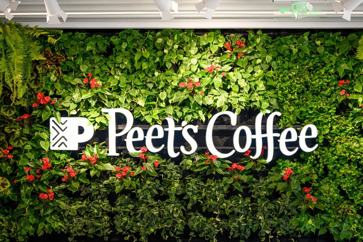 Peet's Coffee皮爷咖啡logo设计含义及咖啡品牌设计理念-诗宸标志设计