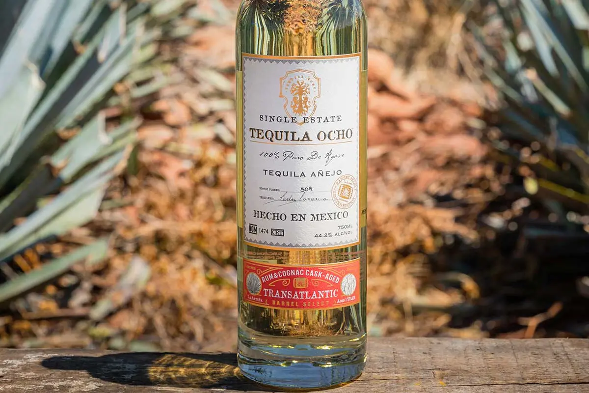 Tequila Ocho标志设计含义及龙舌兰品牌设计理念-诗宸标志设计