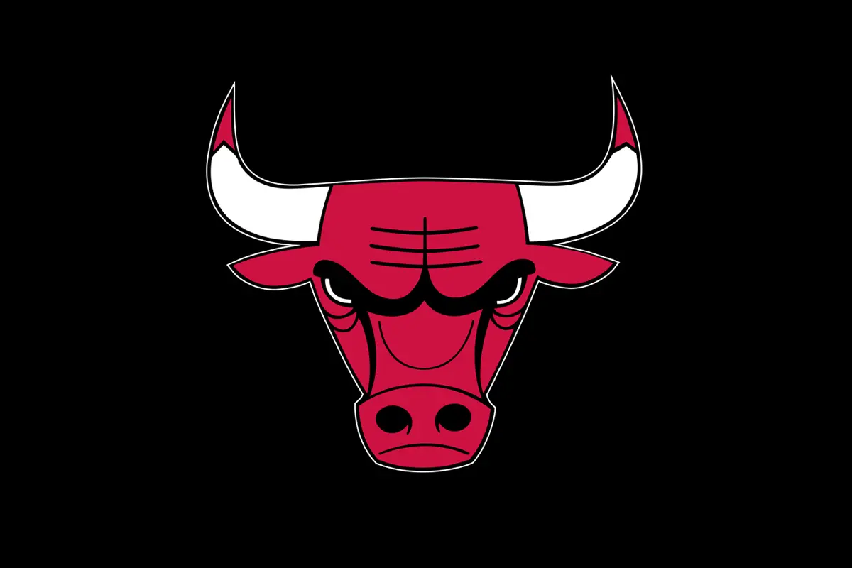 芝加哥公牛队logo含义及运动队品牌理念-诗宸标志设计