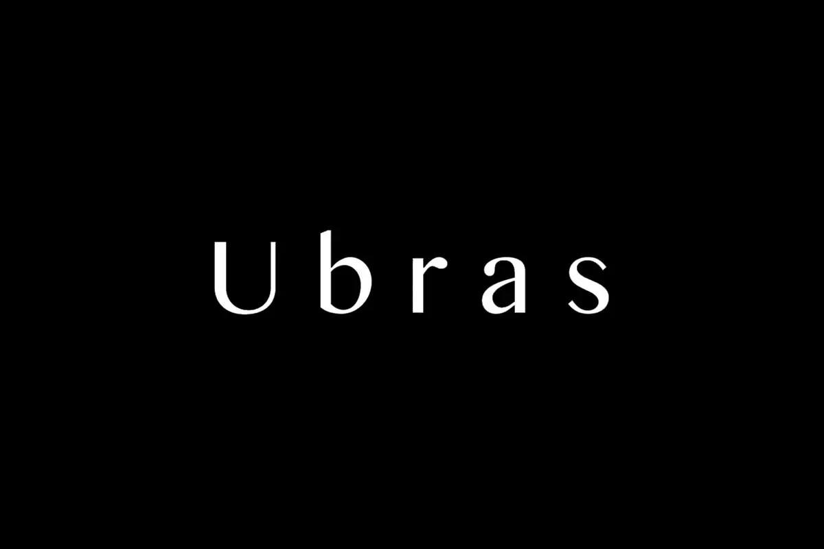 UBRAS标志logo图片-诗宸标志设计