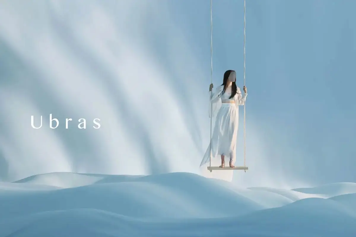 UBRAS标志logo图片-诗宸标志设计