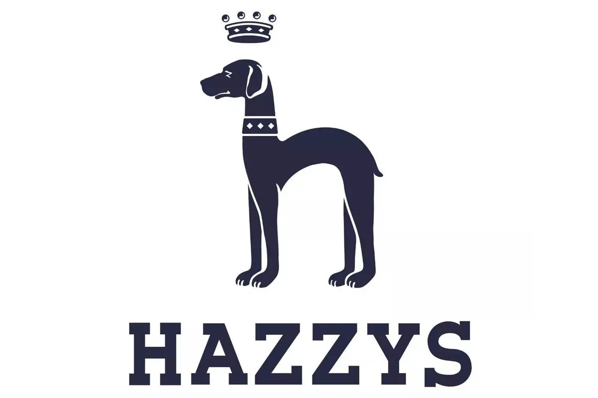哈吉斯（HAZZYS）标志logo图片