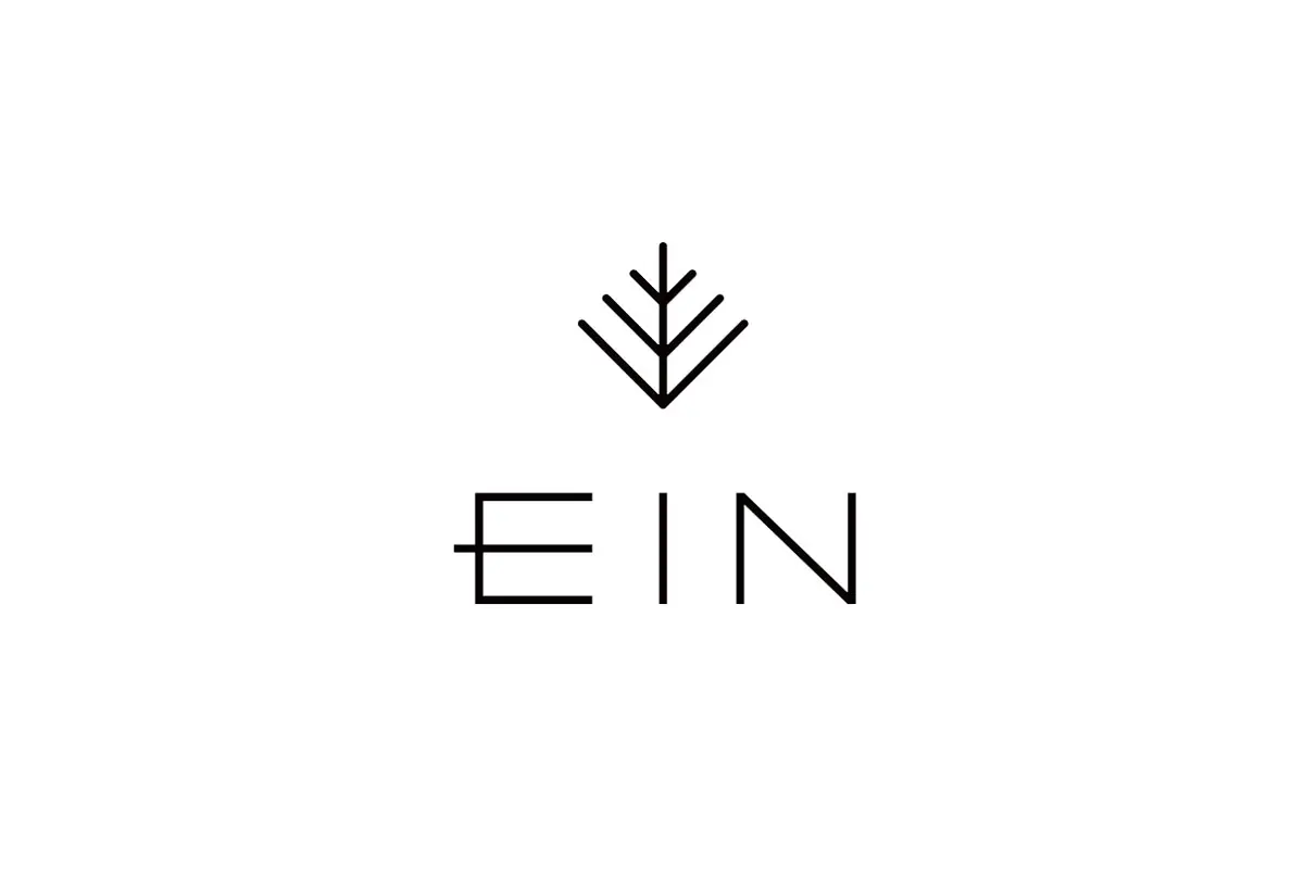 EIN标志logo图片-诗宸标志设计