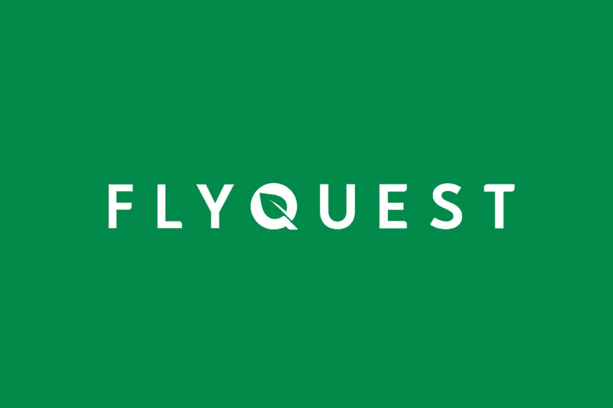 FlyQues标志logo图片-诗宸标志设计