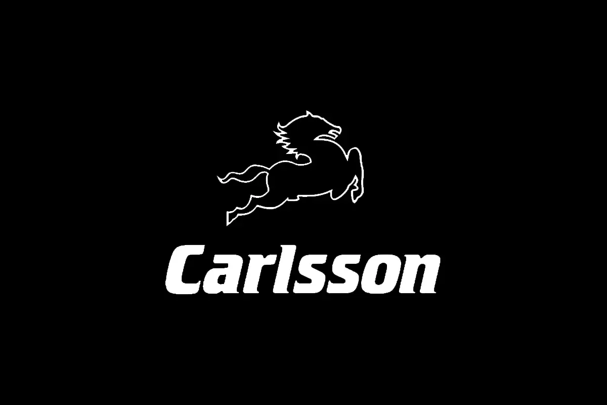 Carlsson卡尔森标志logo图片-诗宸标志设计