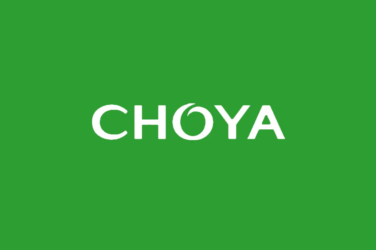 Choya俏雅标志logo图片-诗宸标志设计