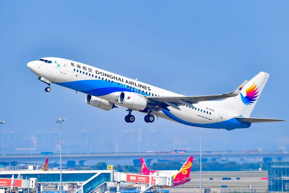 东海航空logo含义及航空品牌理念-诗宸标志设计