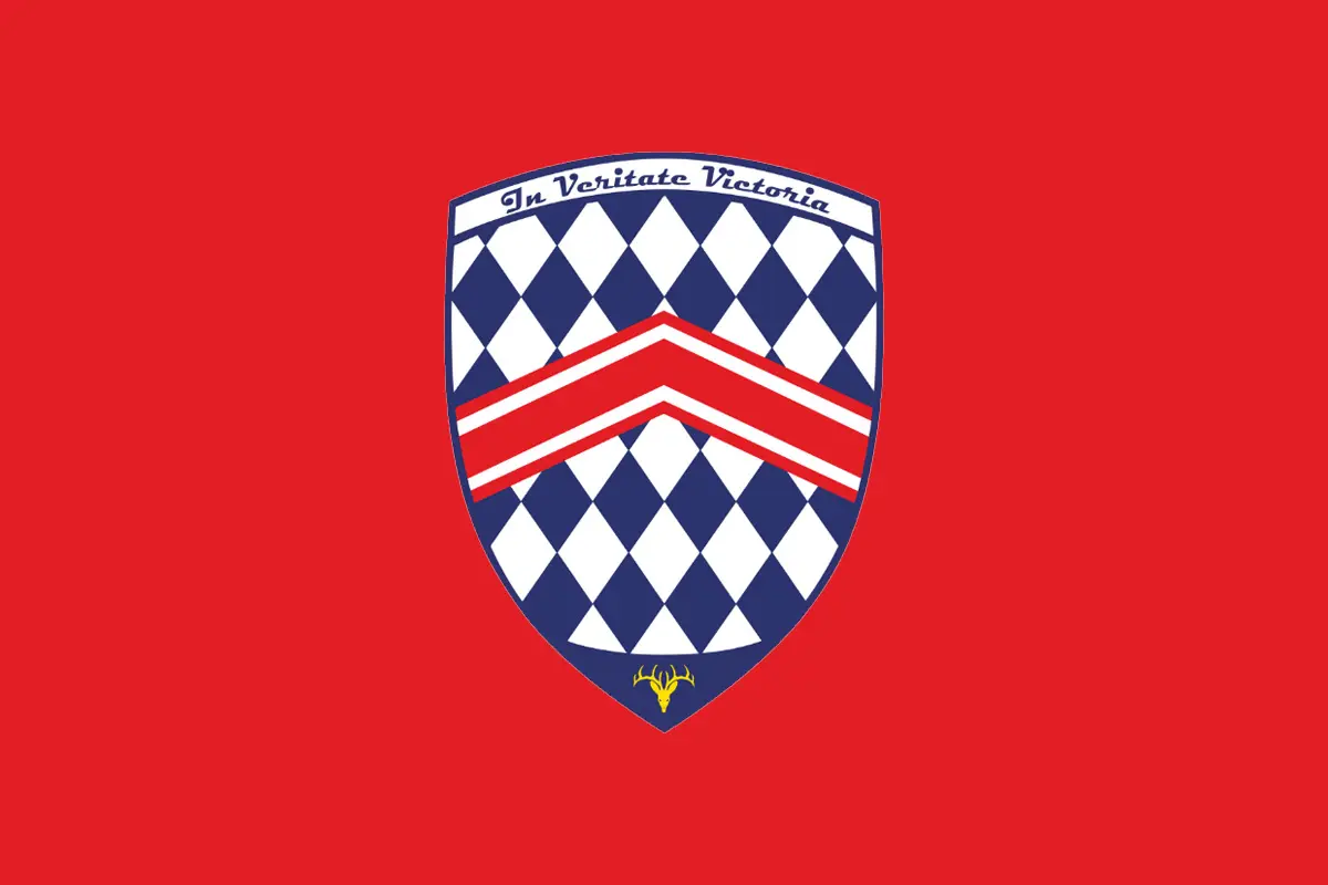 设计分享-诗宸标志设计