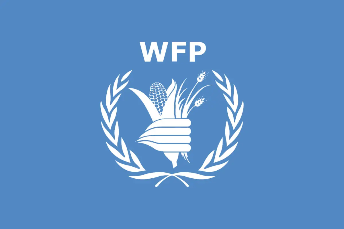 联合国世界粮食计划署logo图片-诗宸标志设计