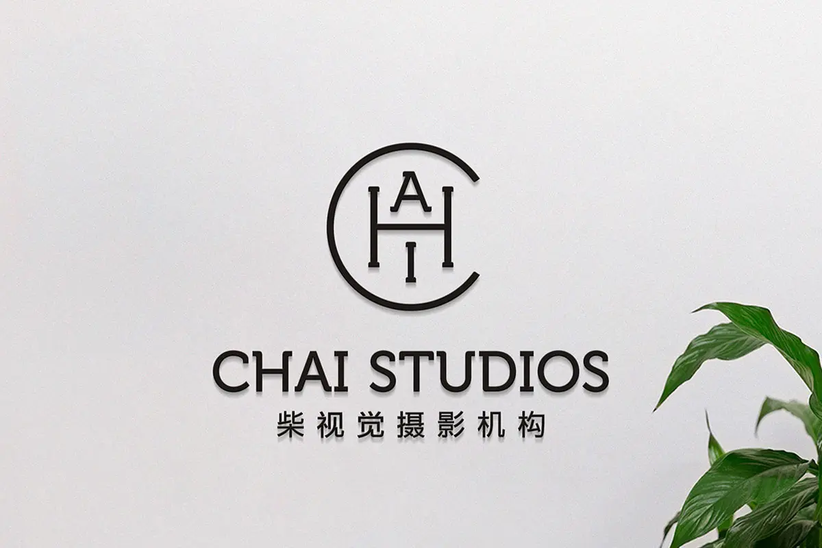 柴视觉标志logo图片-诗宸标志设计