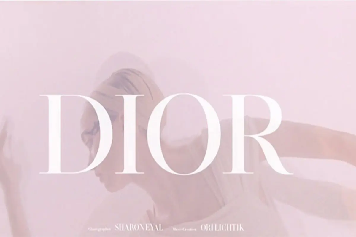 DIOR新标志logo图片-诗宸标志设计